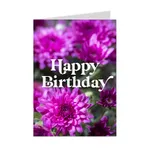 100 Red Roses | Eflorist