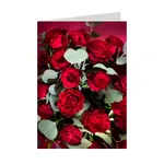 100 Red Roses | Eflorist