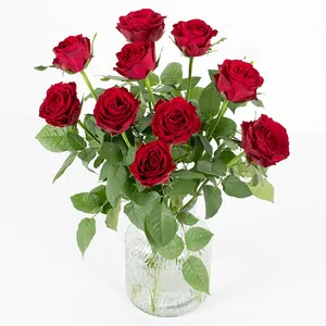 Klassieke rode rozen | Bloemen van Euroflorist