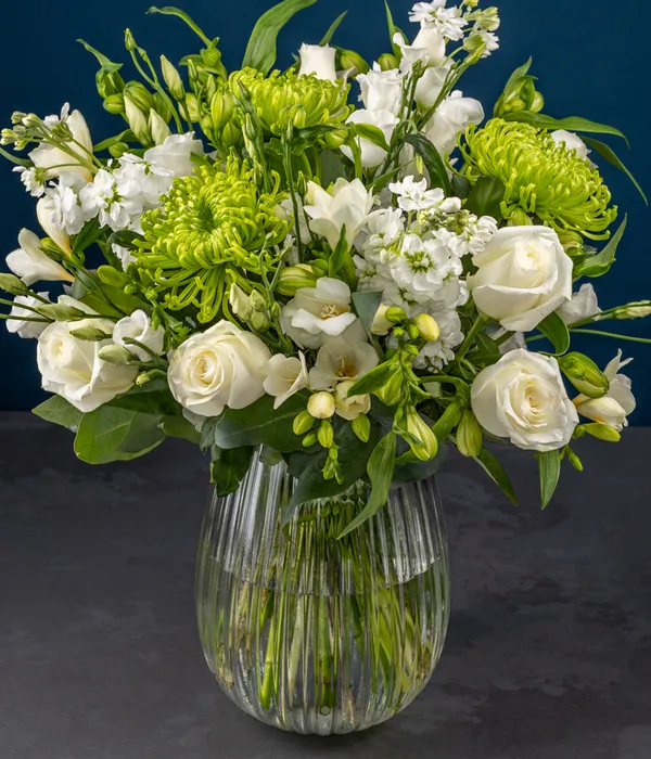 Classic White Roses | Eflorist